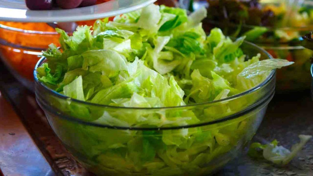 Insalata fresca tutti i giorni, il metodo per moltiplicarla all ...