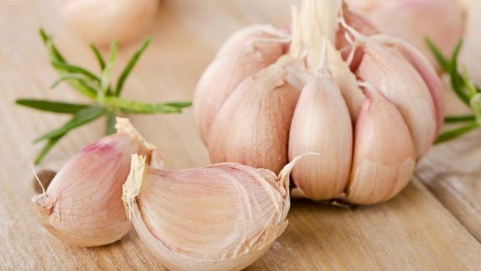 Spicchio d'aglio nell'orto, se non lo fai perdi tutto il raccolto ...