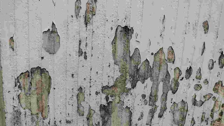 Macchie dai muri, altro che vernice: il trucchetto per farle sparire in ...