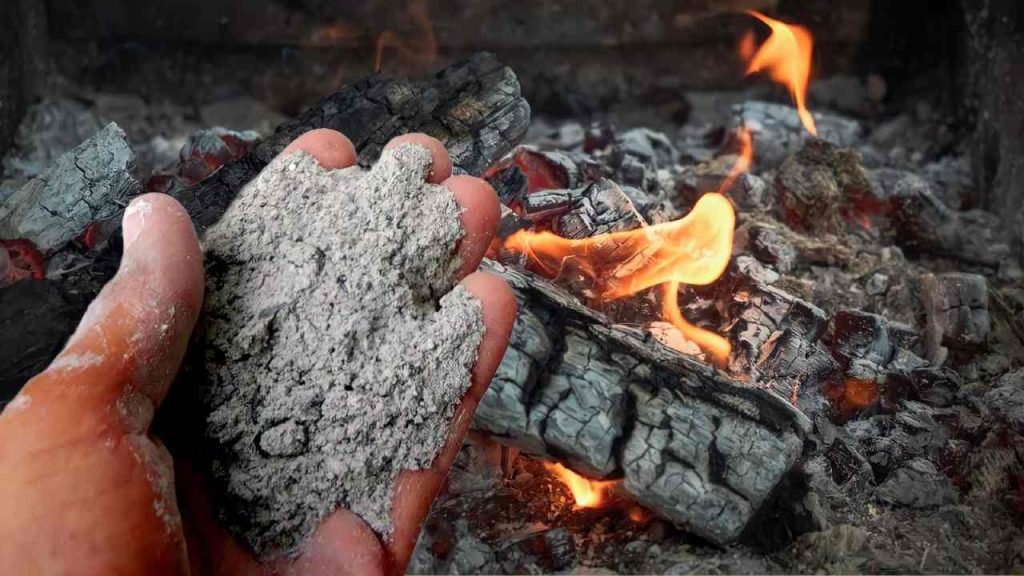 Come si elimina la cenere spenta della legna? Bisogna smaltirla così