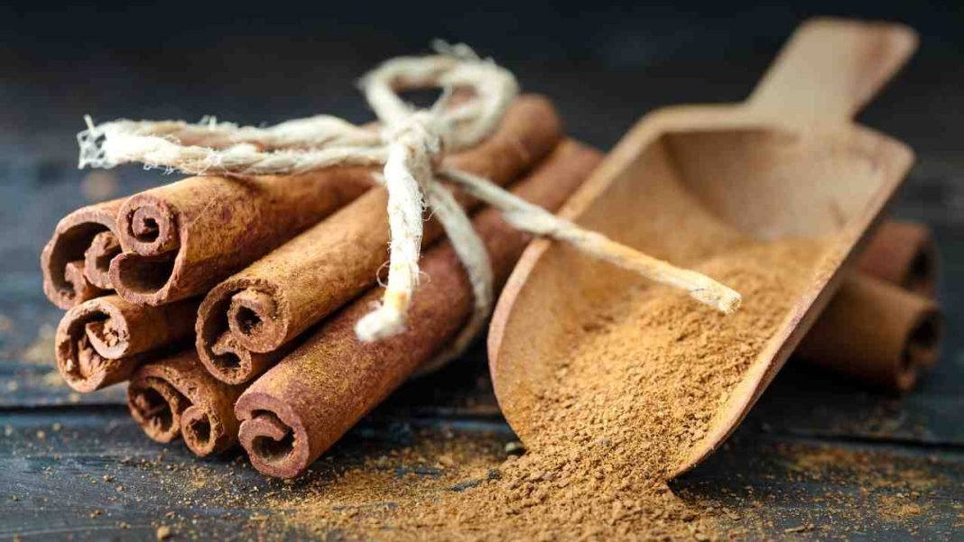 Cannella, versala nelle piante del tuo giardino: i vicini moriranno di ...