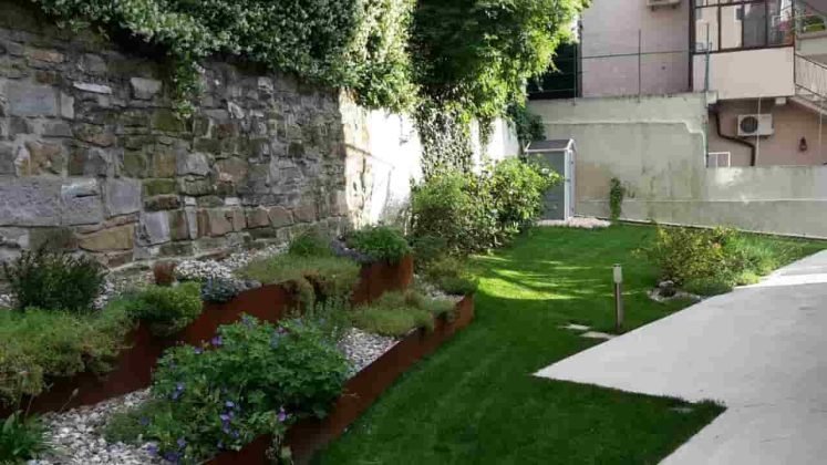 Fiori freschi, il segreto dei fiorai per farli durare 30 giorni senza ...