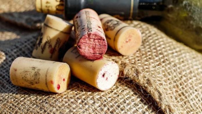 Tappi di sughero, non buttarli: perché dovresti metterli nelle tue piante
