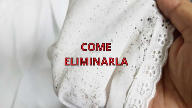 Muffa sui tessuti, come sbarazzarsi in fretta di questo problema