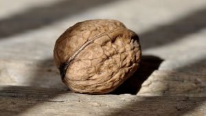 Metti una noce dentro una bottiglia per 7 giorni: non crederai ai risultati