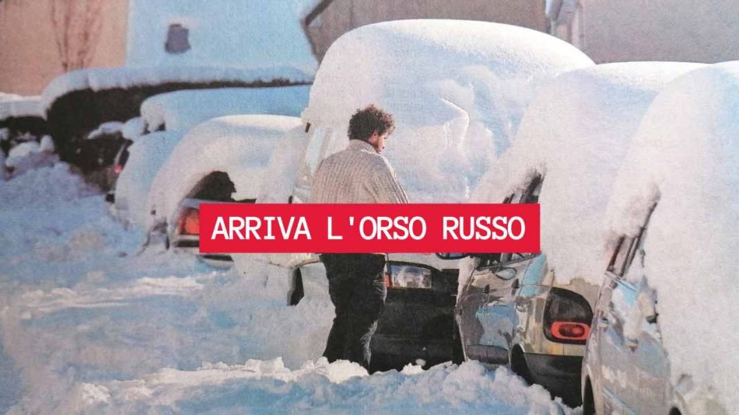 Arriva il temibile Orso Russo in Italia, quale regione sarà sommersa ...