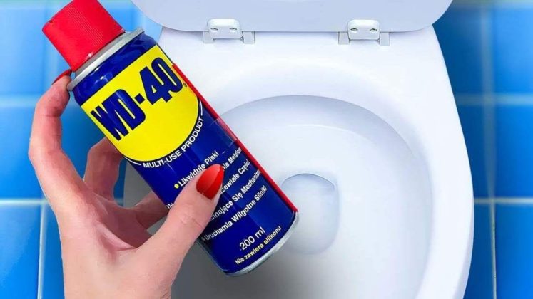 WD-Spray, perché alcuni hanno iniziato a spruzzarlo nel WC di casa ...
