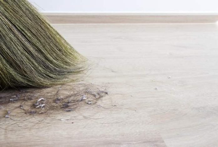 L'astuce ancestrale pour enlever tous les cheveux et la poussière de ...