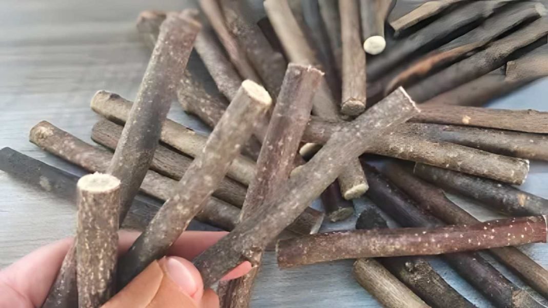 Rami secchi, procuratene un paio e crea queste fantastiche 10 idee ...