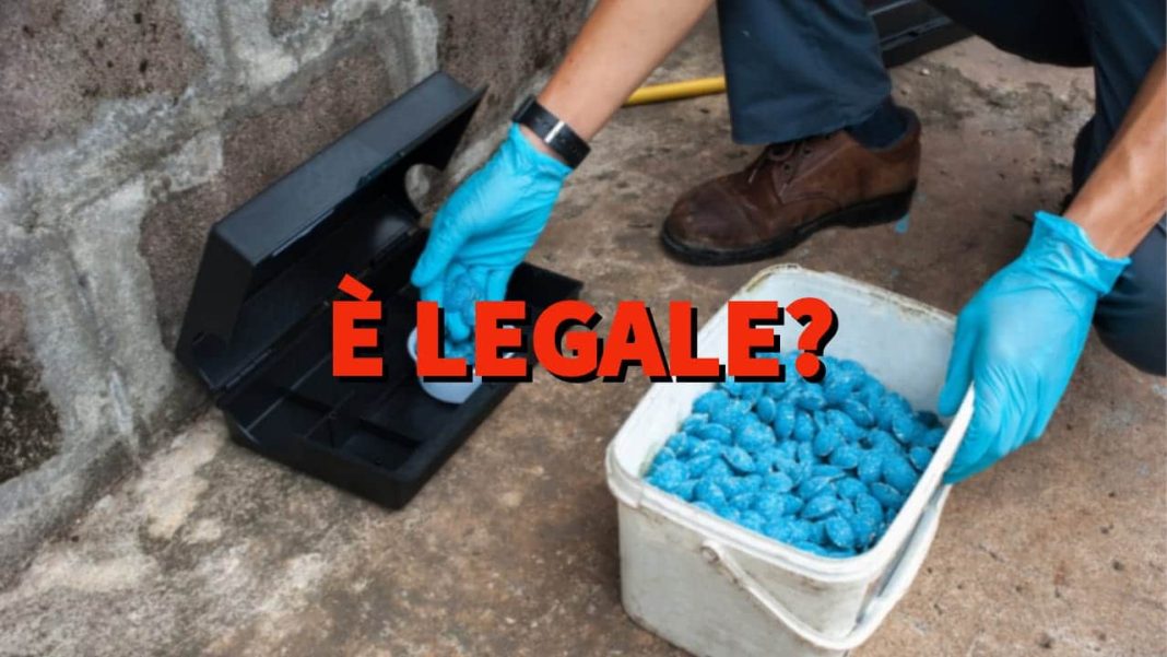 È consentito dalla legge mettere il veleno per topi? Purtroppo lo sanno ...
