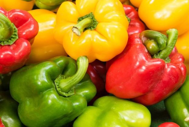 How to grow peppers at home: the secret to having abundant production ...