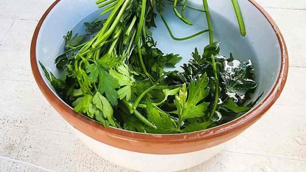 Einen Monat lang frische Petersilie mit der Bowl-Methode: Das machen ...