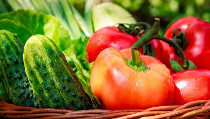 Il sistema più semplice per irrigare cetrioli, pomodori, zucchine ...